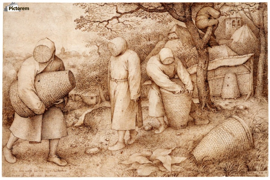 The Bee-Keepers by Pieter Brueghel the Elder Wall Art